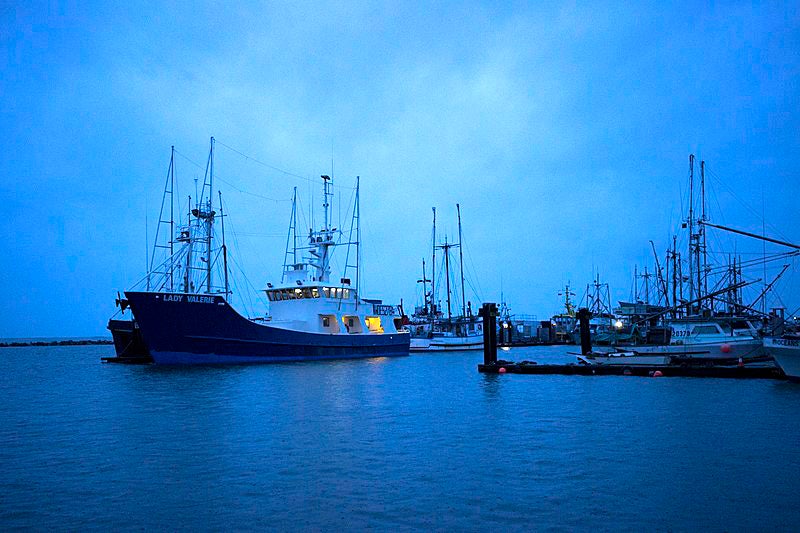 NSSLGlobal Adds Iridium Certus to its Maritime Portfolio - Via Satellite