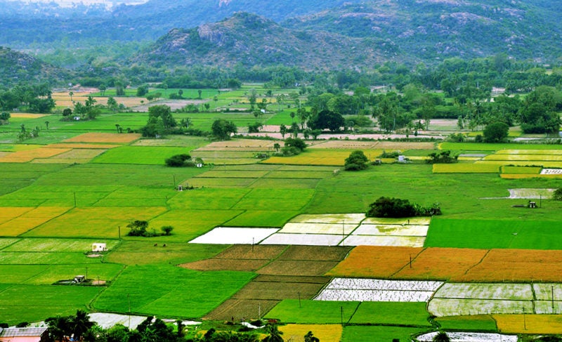 How India's Farmers Grow Profits with Satellite 'Big Data' - Via Satellite