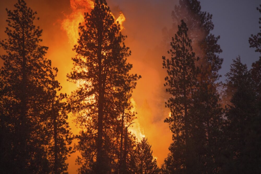 Spire Global and OroraTech Win NASA Contract for Wildfire Monitoring ...