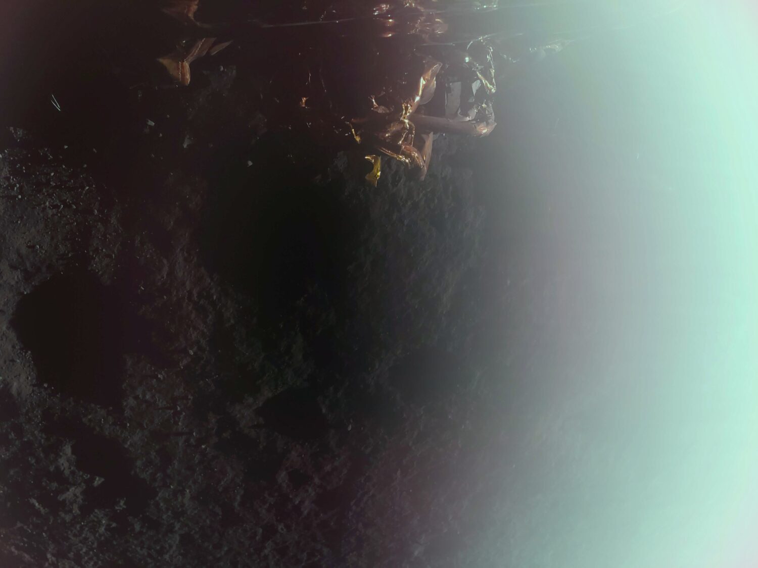 Firefly Aerospace’s Blue Ghost Lander Successfully Touches Down on the Moon - Via Satellite